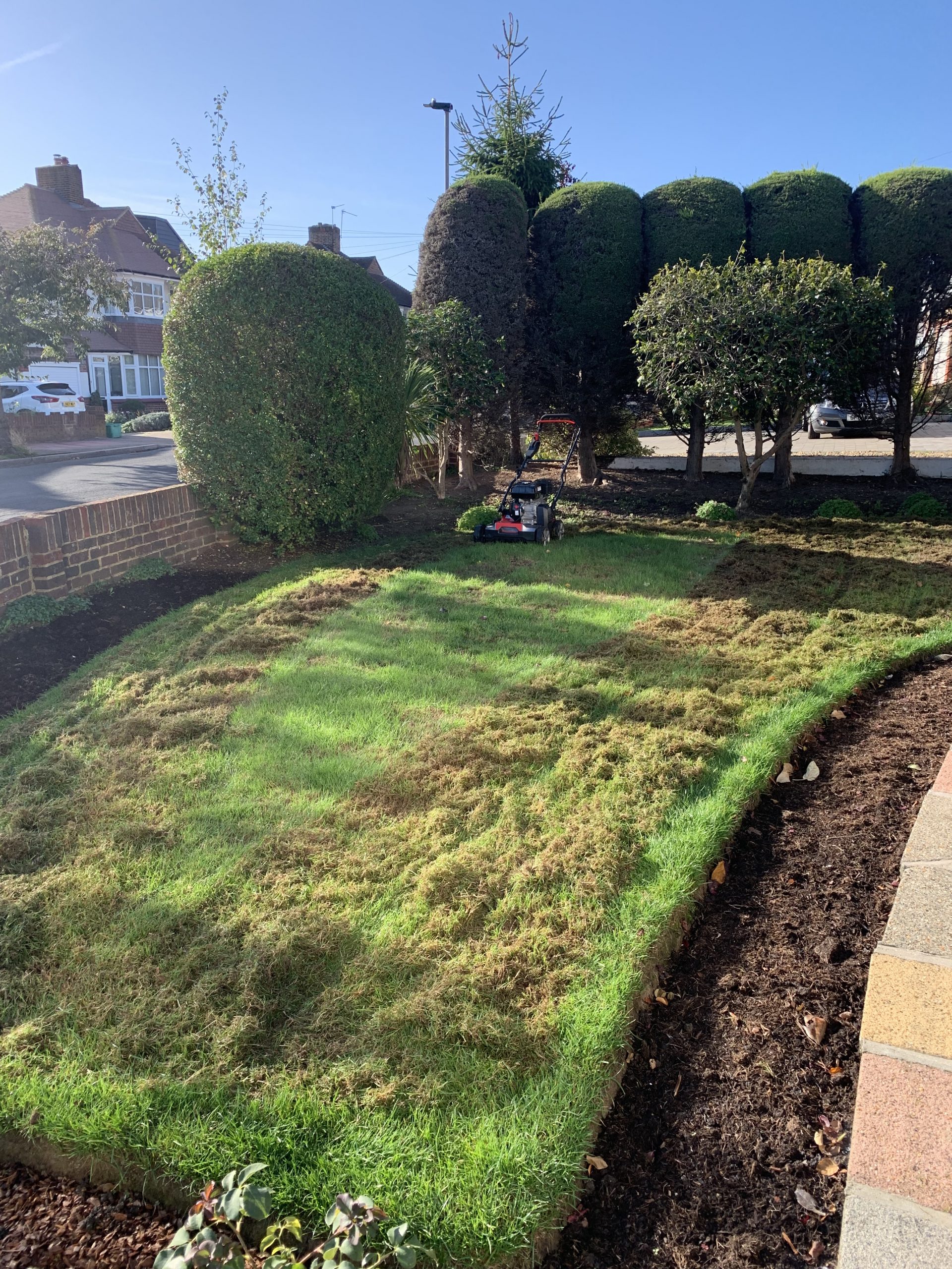 Moss Control – Evergreen Lawn Company